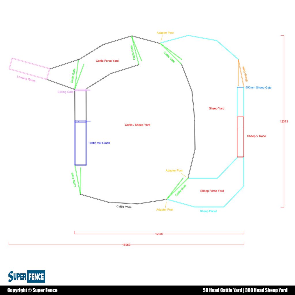 50 Head Cattle & 300 Head Sheep Yard Design