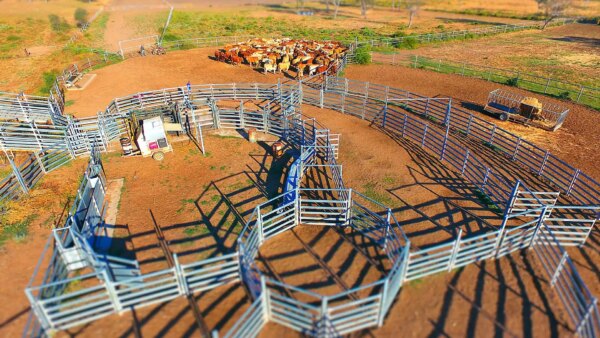 Horse Round Yard For Sale Best Price By Super Fence